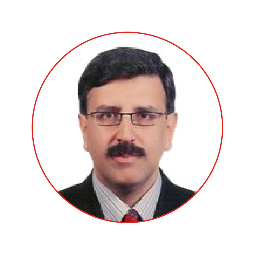 GCC Expert Forum | FACULTY MEMBER